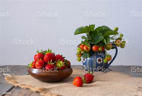 소박한 스타일 흰색 배경에 나무 그릇에 잘 익은 달콤한 딸기 건강한 생활방식에 대한 스톡 사진 및 기타 이미지 건강한 생활