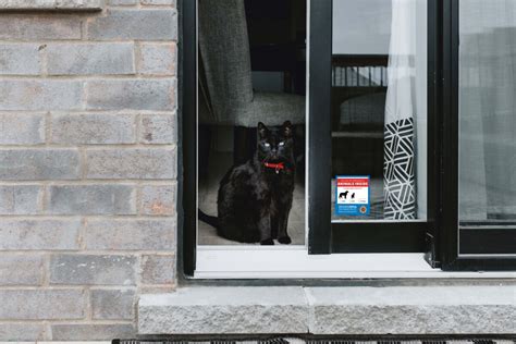 Promise To Prepare The Ontario Spca Urges People To Include Pets In