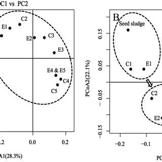 Principal Coordinate Analysis Pcoa Ordination Of High Throughput