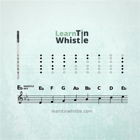 Learn Tin Whistle