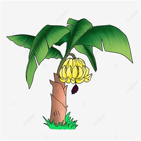 Download Free Banana Tree Cartoon Png And Psd Images