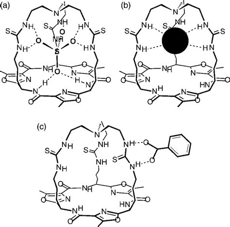 Proposed Binding Mode Of Receptor 1 For A Sulphate Anions Involving A