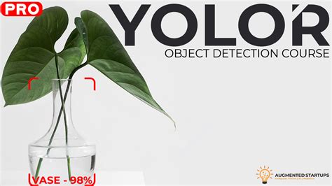 Heart Rate Detection Using Eulerian Video Magnification And Yolor