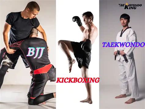 Bjj Vs Kickboxing Vs Taekwondo What Is Better Taekwondo King