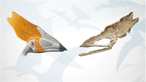 Teradactyl Dinosaur Head