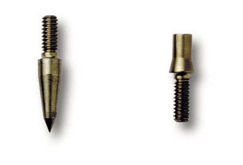 Screw Ejector Screw Ejector And Clavulus Centrostyle Around People