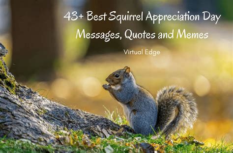 43 Best Squirrel Appreciation Day Messages Quotes And Memes Virtual