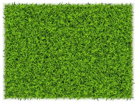 Premium Vector Green Grass Rectangle Illustration