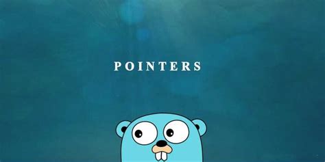 Understanding Pointers In GO Devops Guide DEV Community
