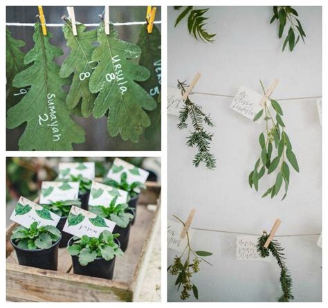 The Greenery Guide 20 Of Our Favorite Greens And How To Use Them In Your