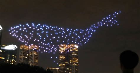 뉴스1 Pick 서울 하늘에서 고래가 나타났다 바다를 지켜주세요