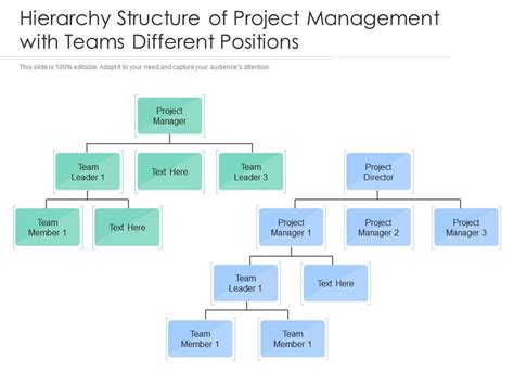 hierarchy structure of project management with teams different