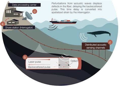 ‘listening To Earth Using Fiber Optic Cables Laser Focus World