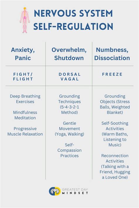 Nervous System Self Regulation Chart