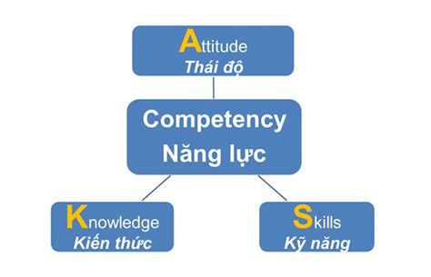 Các Mức Độ Đánh Giá Năng Lực Cá Nhân Hiệu Quả