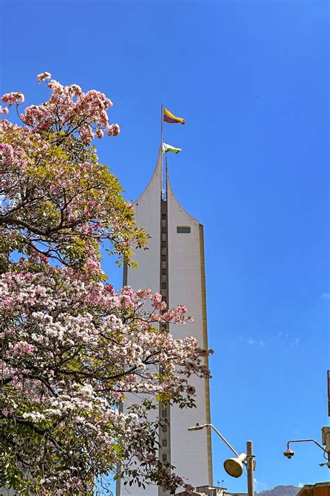 El centro de Medellín florece Periódico Centrópolis