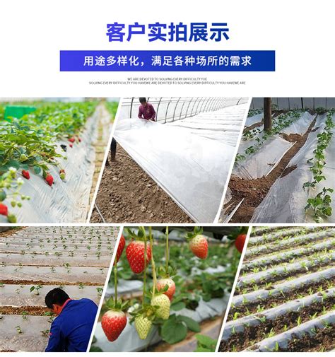 薄膜PE聚乙烯地膜塑料大棚膜保温塑料膜整卷打孔可降解农用地膜 阿里巴巴