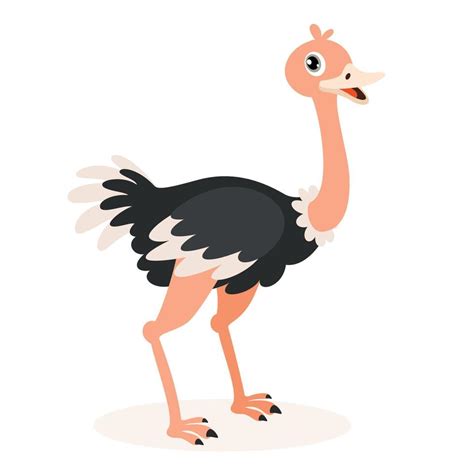 Cute Ostrich Drawing
