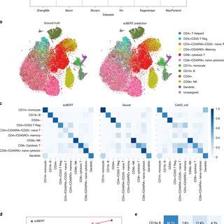 Scbert As A Large Scale Pretrained Deep Language Model For Cell Type Annotation Of Single Cell