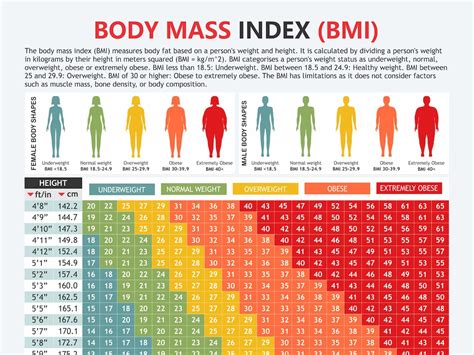 Body Mass Index Chart Digital Download Pdf Height And Weight Body