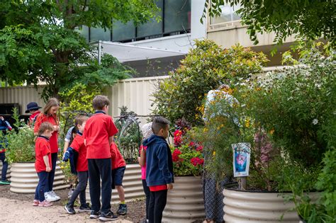 Sturt Street Community School Department For Education