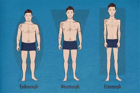 Whats Your Body Type Ectomorph Mesomorph And Endomorph