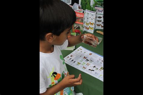 Bugs Bug Bugs Lakeland News