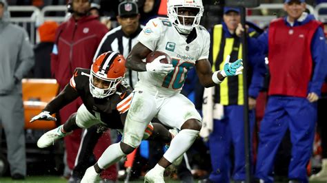 Peacock Vasectomies Florida Villages Solution To Curb Bird Population