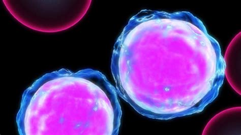 Nanoparticles From Fundamentals To Applications Epfl