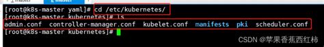 十 Kubernetes 核心配置文件与kubelet命令kubelet 配置文件 Csdn博客