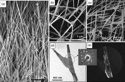 A Sem Cross Sectional Of Zno Nanonetworks B C Interconnected Zno