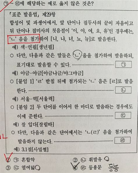 한글 맞춤법 ㄴ 첨가 지식in