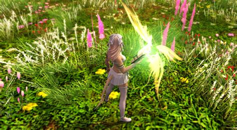 Passion Eorzea Collection