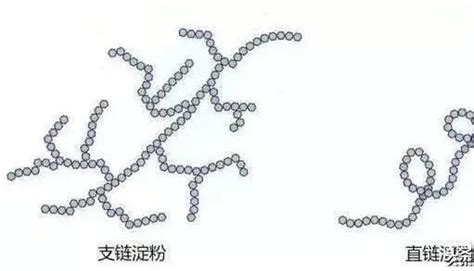 子流域划分不完整红缨子糯高粱与东北高粱的区别weixin39664774的博客 Csdn博客