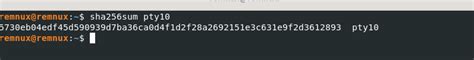 Deploy T Pot Honeypot To Aws · Bohansec