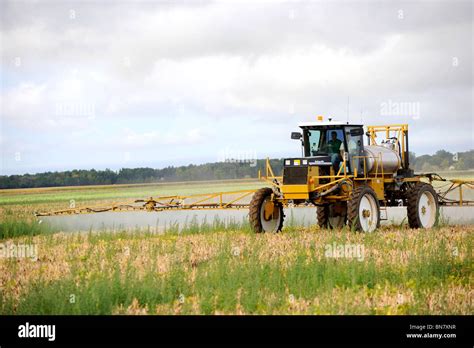 Applying Herbicide To Help Eliminate Problem Harvesting Soybeans Stock