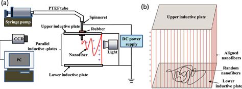 A Schematic Of The Experimental System B Schematic Of Random