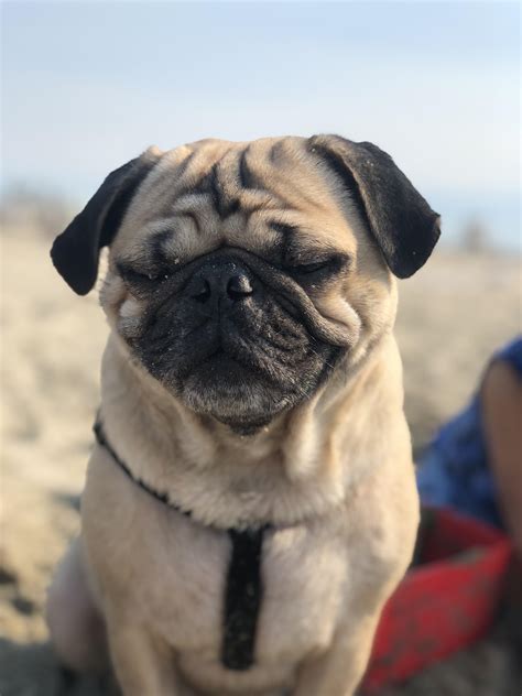 Wrinkles And Sand Scrolller