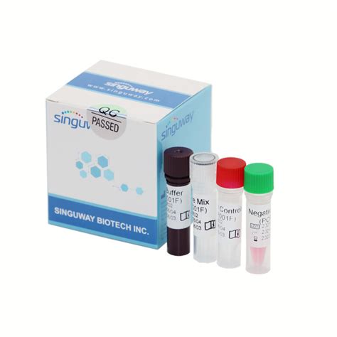 Quantitative Diagnostic Hiv Real Time Pcr Kit 40ul For Human