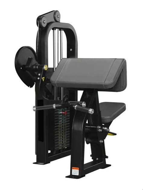 Bicep Curl Machine 175 Kg At ₹ 39999 Piece In Meerut Id 2854697870712