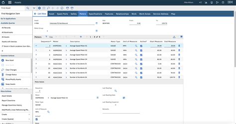 Linear Assets 9 Meters Maximo Secrets