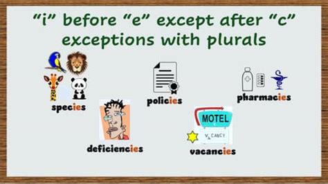 Ie Ei Spelling Rule Power Point Explanation By Zympleteach Tpt