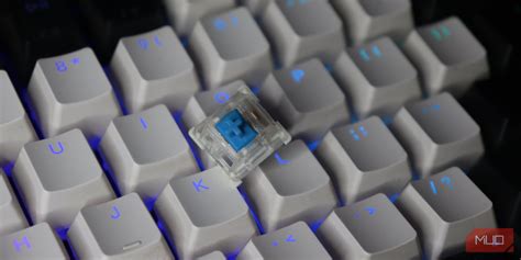 Cherry Mx Vs Kailh Vs Gateron Switches Which Is Best
