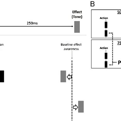 A The Intentional Binding Effect Voluntary Actions And Outcomes Are Download Scientific