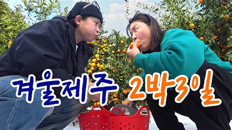 【해남한달 Ep4】 배타고 겨울제주가서 감귤따고 웨이팅 맛집 뿌시기🍊 몽탄 런던베이글 드림농원 렌트카 완도↔제주 배편