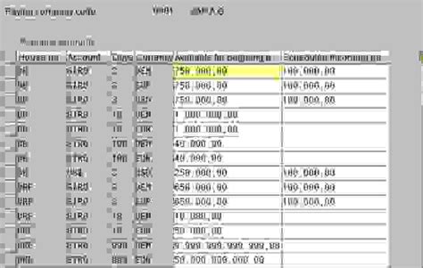 Automatic Payment Program T Code Fbzp