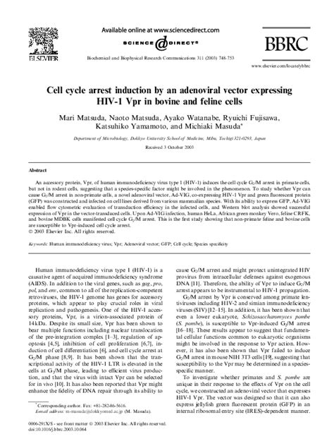 Pdf Cell Cycle Arrest Induction By An Adenoviral Vector Expressing