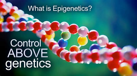 Nutrigenomic Testing For Optimal Health Dr Karen Wolfe