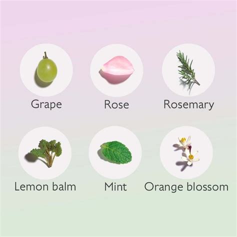 Beauty Elixir Hydrating Face Mist Prep Skin Set Makeup Glow Caudalie®