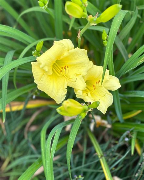 Journalplant Journalplant Added A New Photo